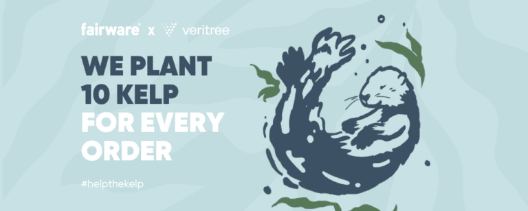 How sustainable merch supports kelp restoration | Fairware